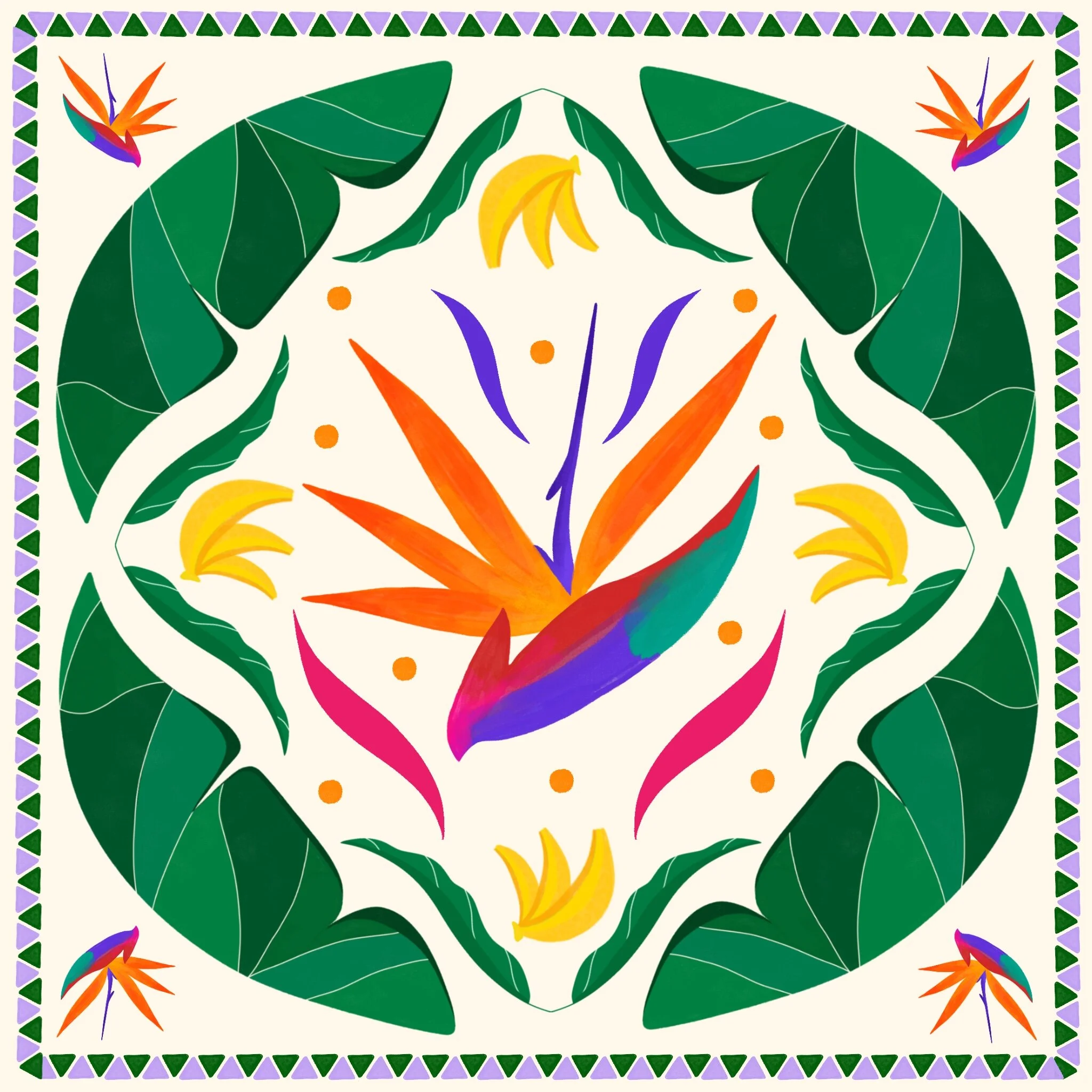 Nasrin Jafari - Designer & Illustrator