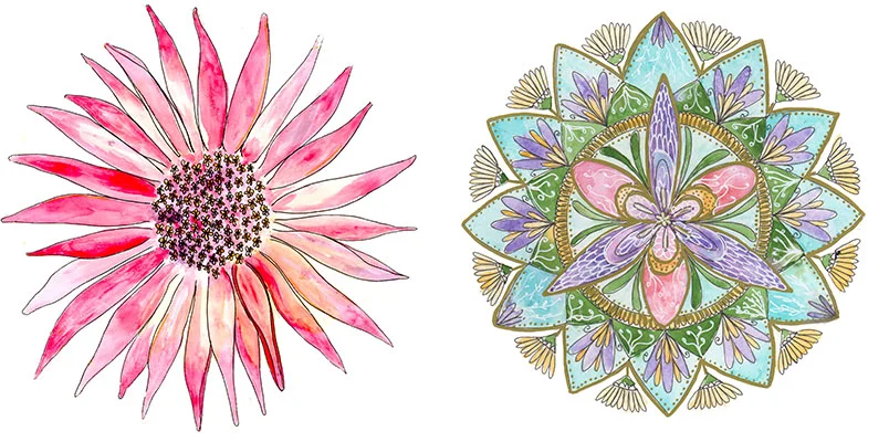 Botanical Mandalas — Art is Magic