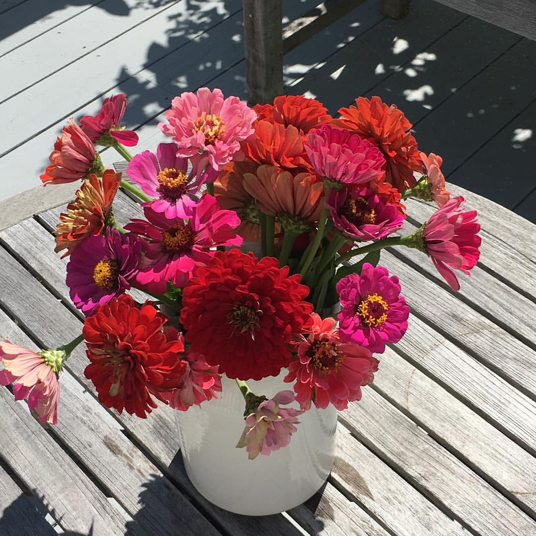 Our Story — Sprouts Flowers