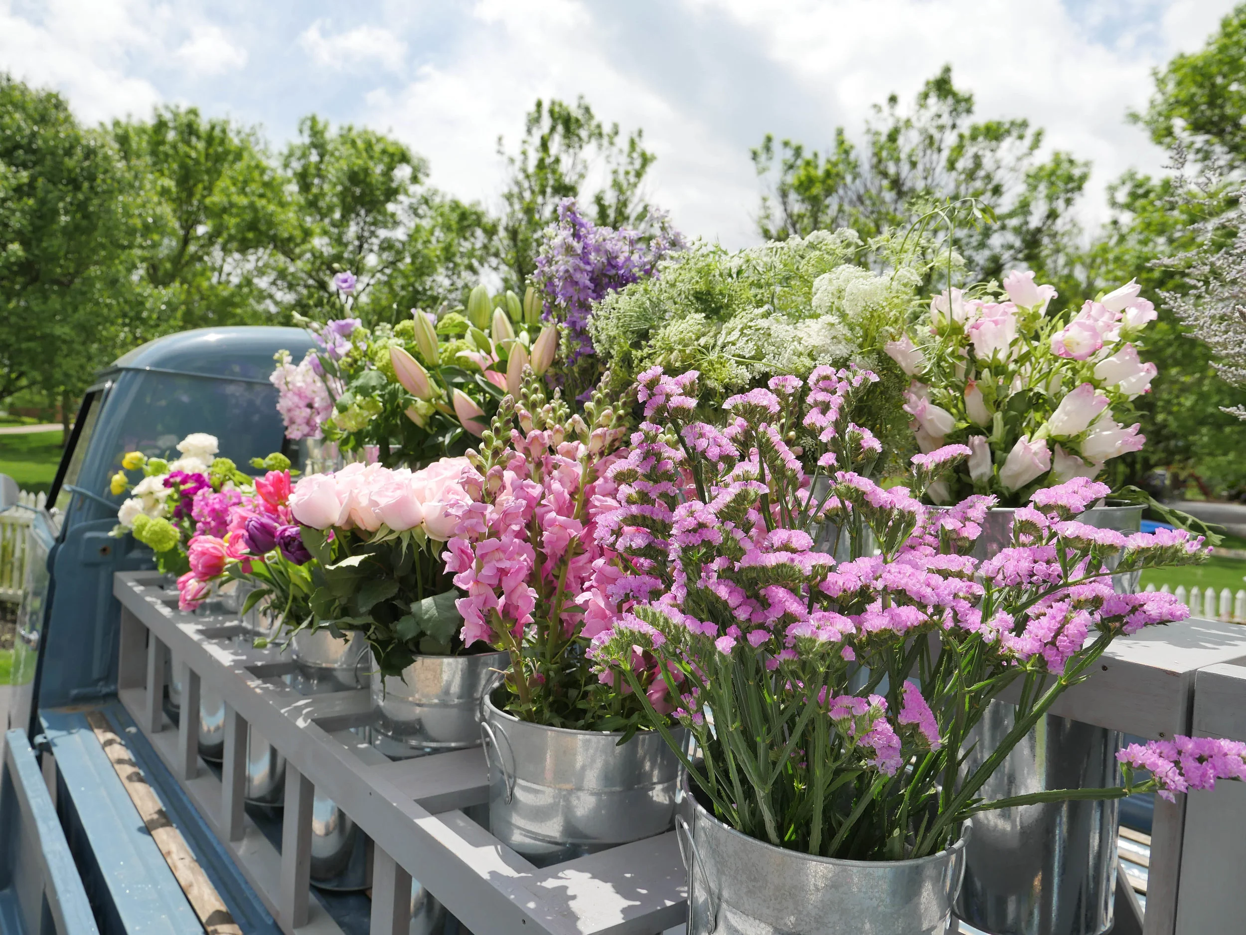 Our Story — Sprouts Flowers