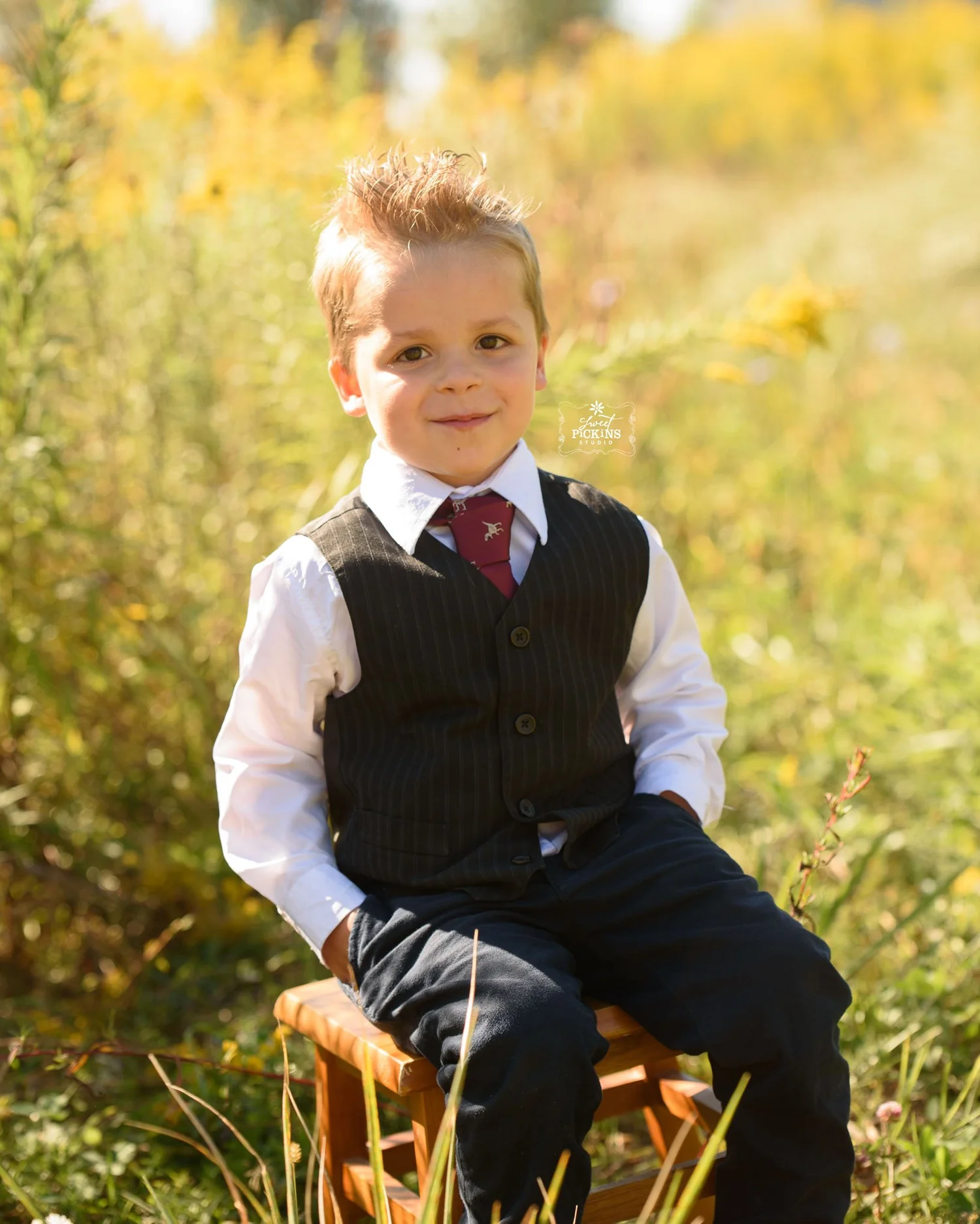 Extended Family Portrait Photography in Galveston, Indiana — Sweet ...