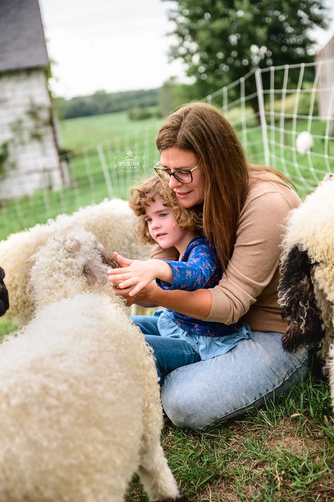 Wabash, Indiana Sheep Farm Family Photography — Sweet Pickins Studio ...