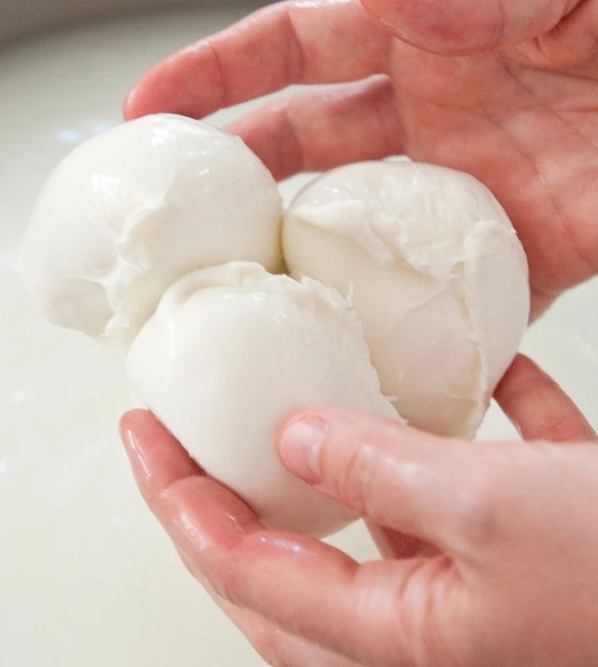 The Asheville Kitchen Cooking Classes — The Asheville Kitchen