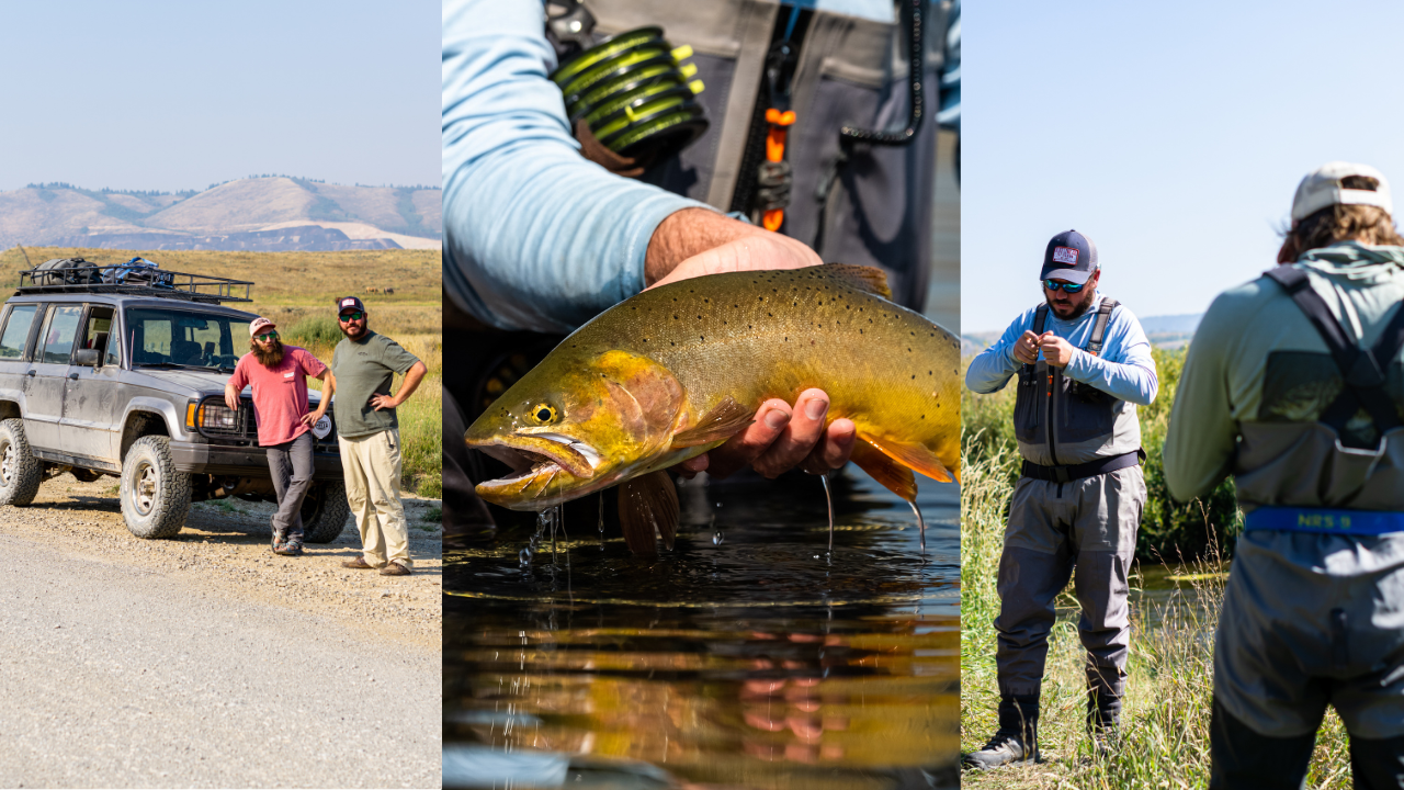 Blue Line Flies | Premium Fly Fishing Flies