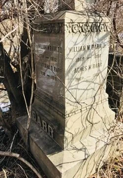 William Wilson Barr, Sr. (1832-1902) — Log College Press