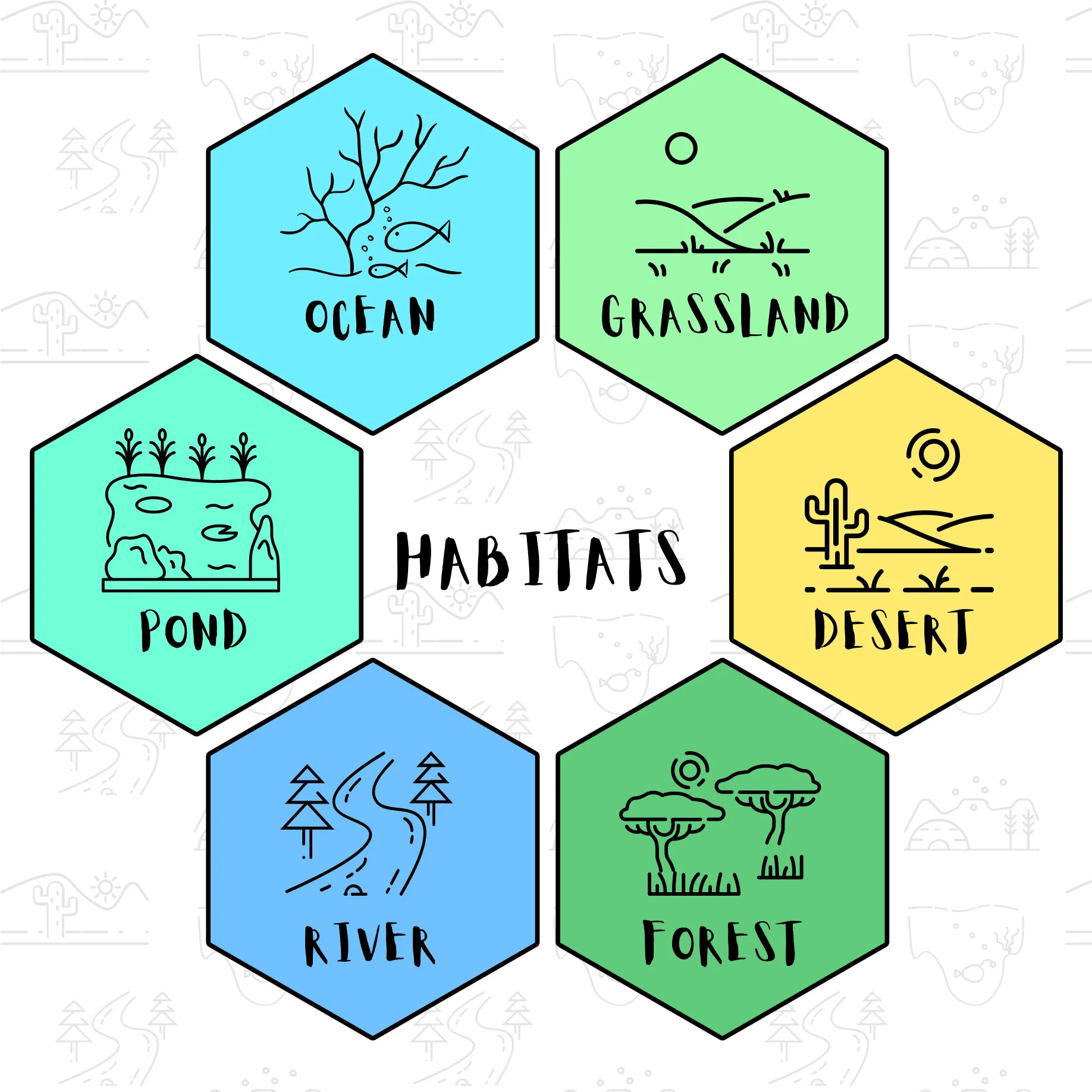 🌵🏔️🌴Habitats — Cub Collective