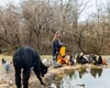 Tikkun Farm’s Mary Laymon: ‘We are healed to become healers.’ — Women ...