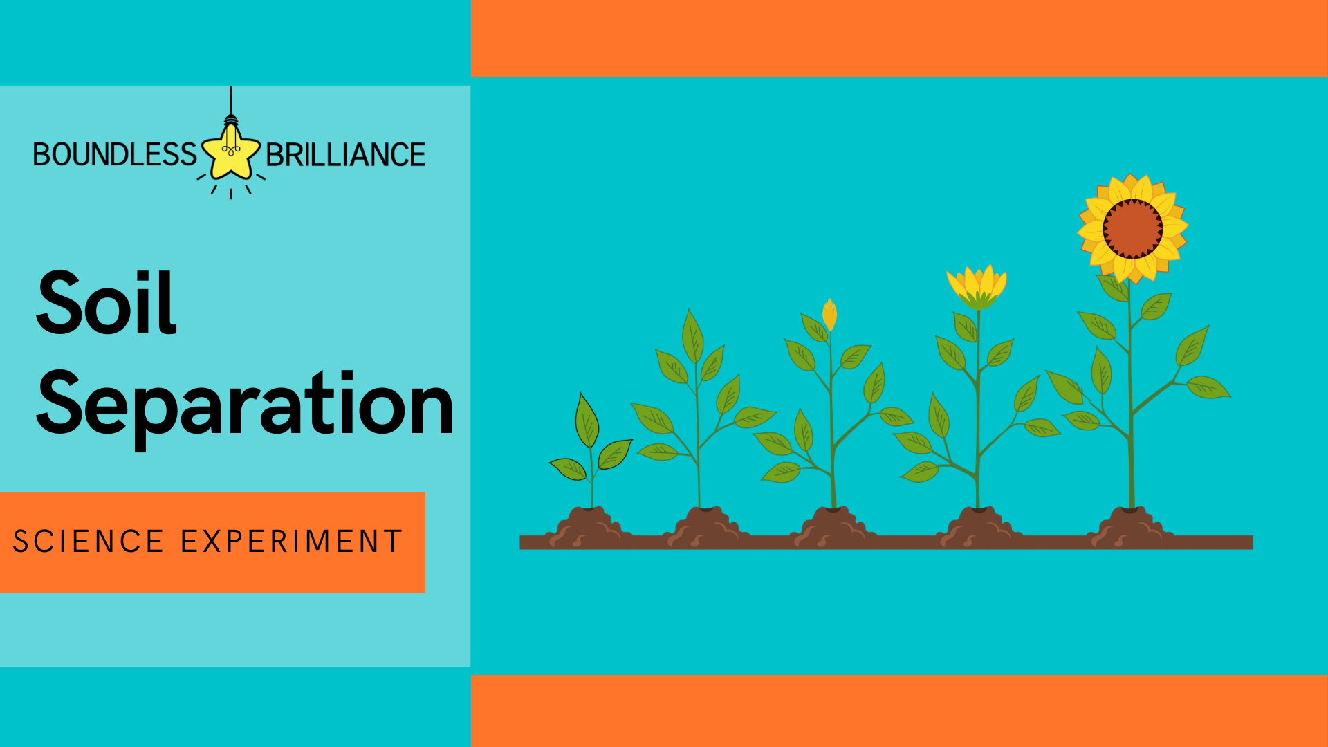 Soil Separation — Boundless Brilliance