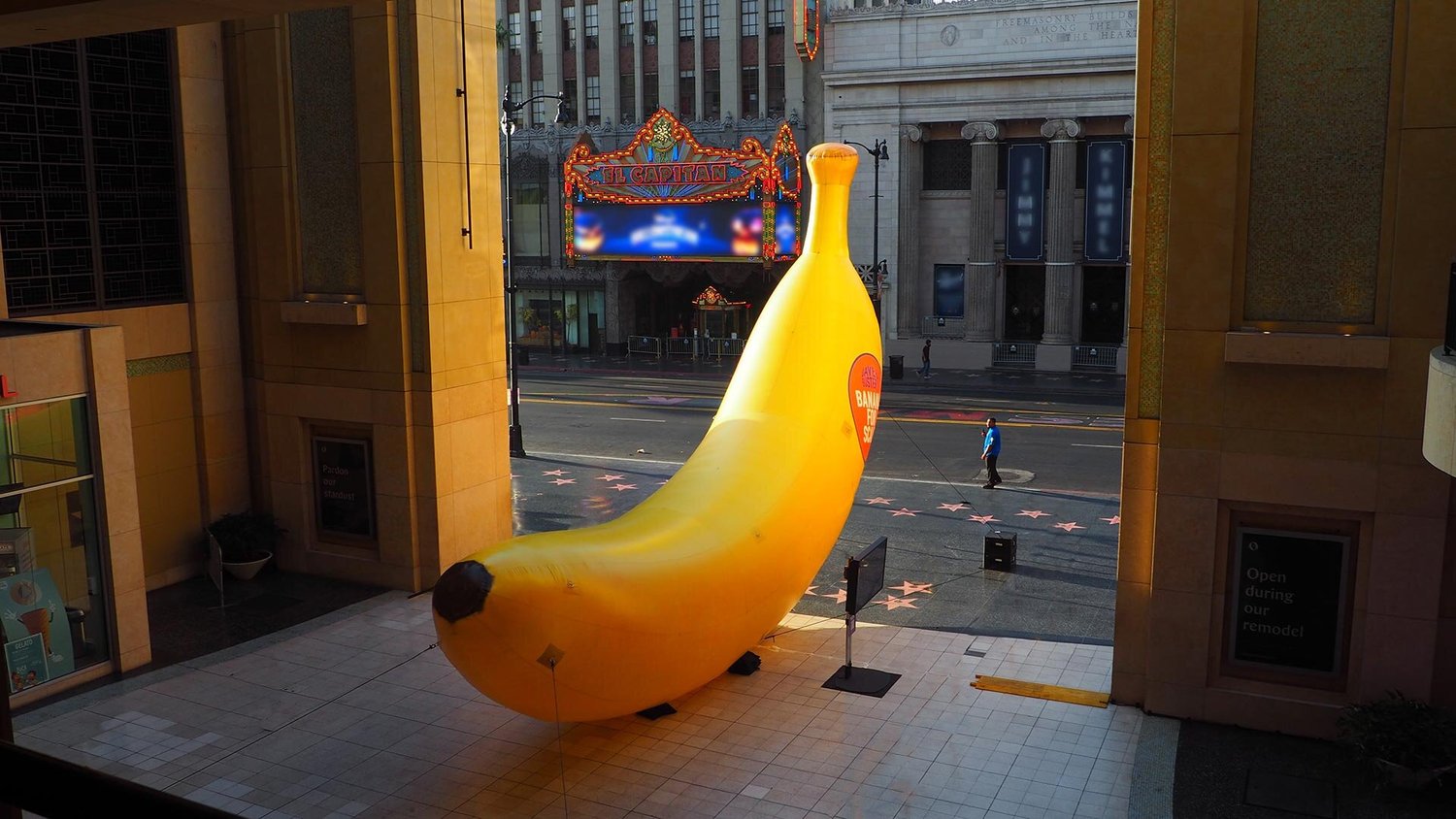 Dave & Busters: Banana for Scale — Kimberly Chavez