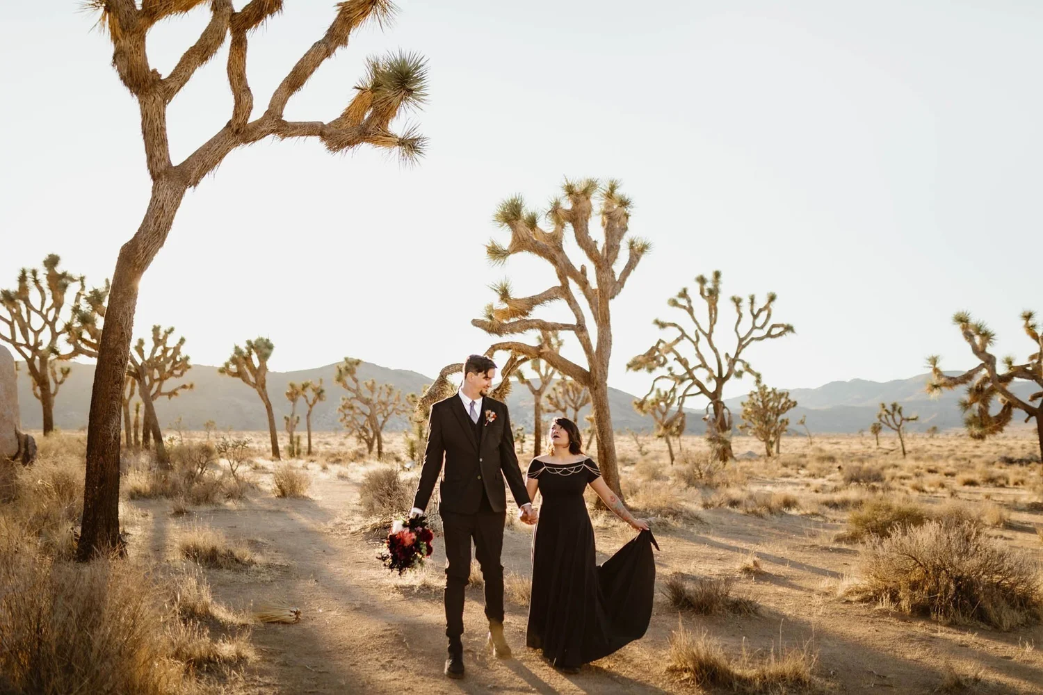 Joshua Tree Wedding // 2024 Guide — California Elopement Photographer ...