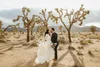 Joshua Tree Wedding // 2024 Guide — California Elopement Photographer ...