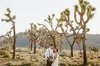 Joshua Tree Wedding // 2024 Guide — California Elopement Photographer ...