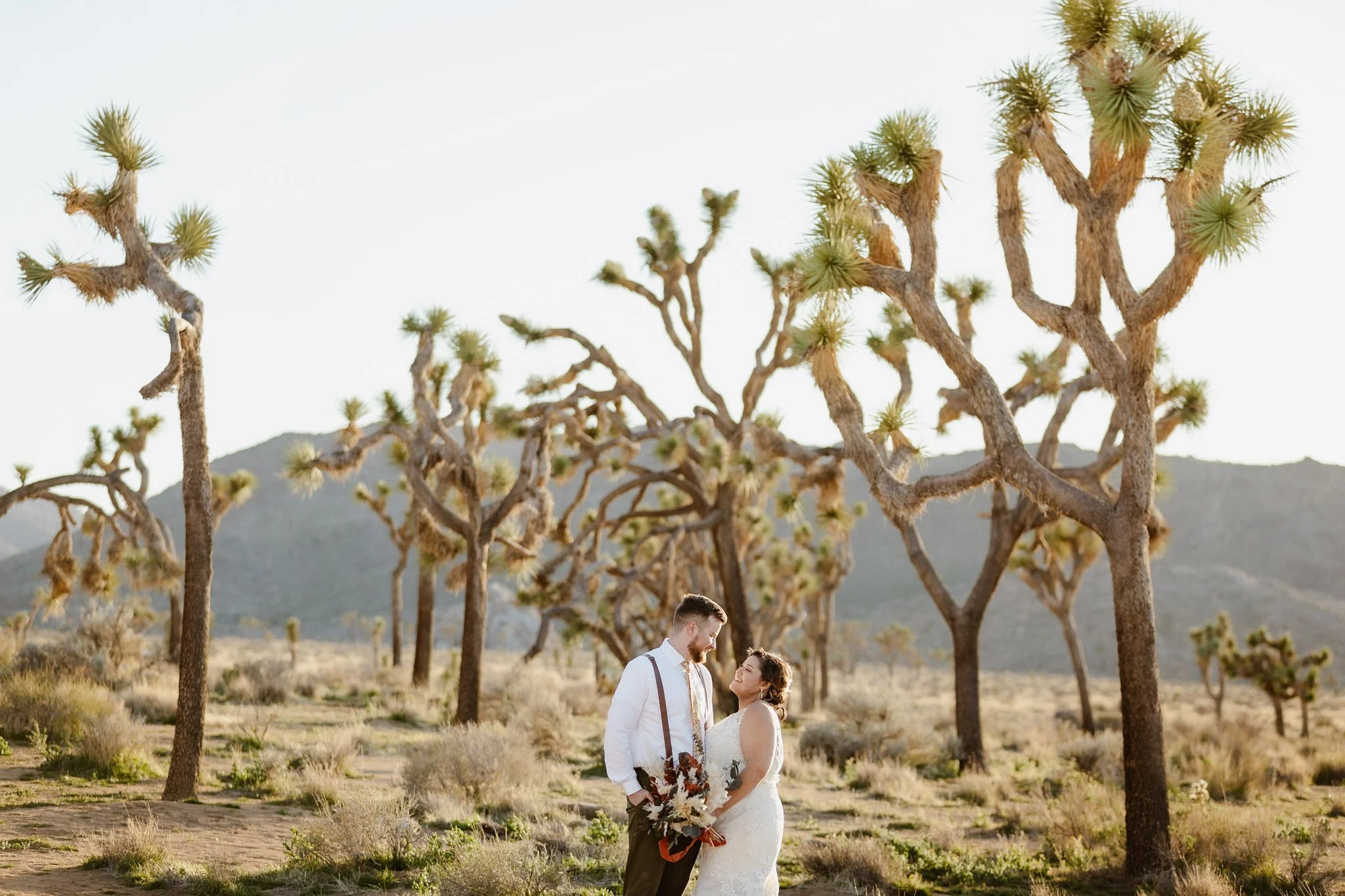 Joshua Tree Wedding // 2024 Guide — California Elopement Photographer ...