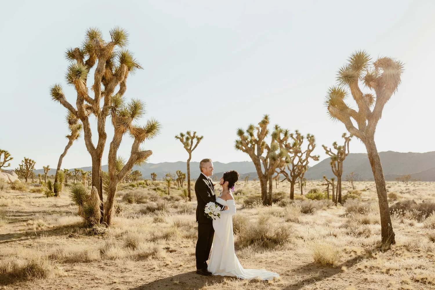 Joshua Tree Wedding // 2024 Guide — California Elopement Photographer ...