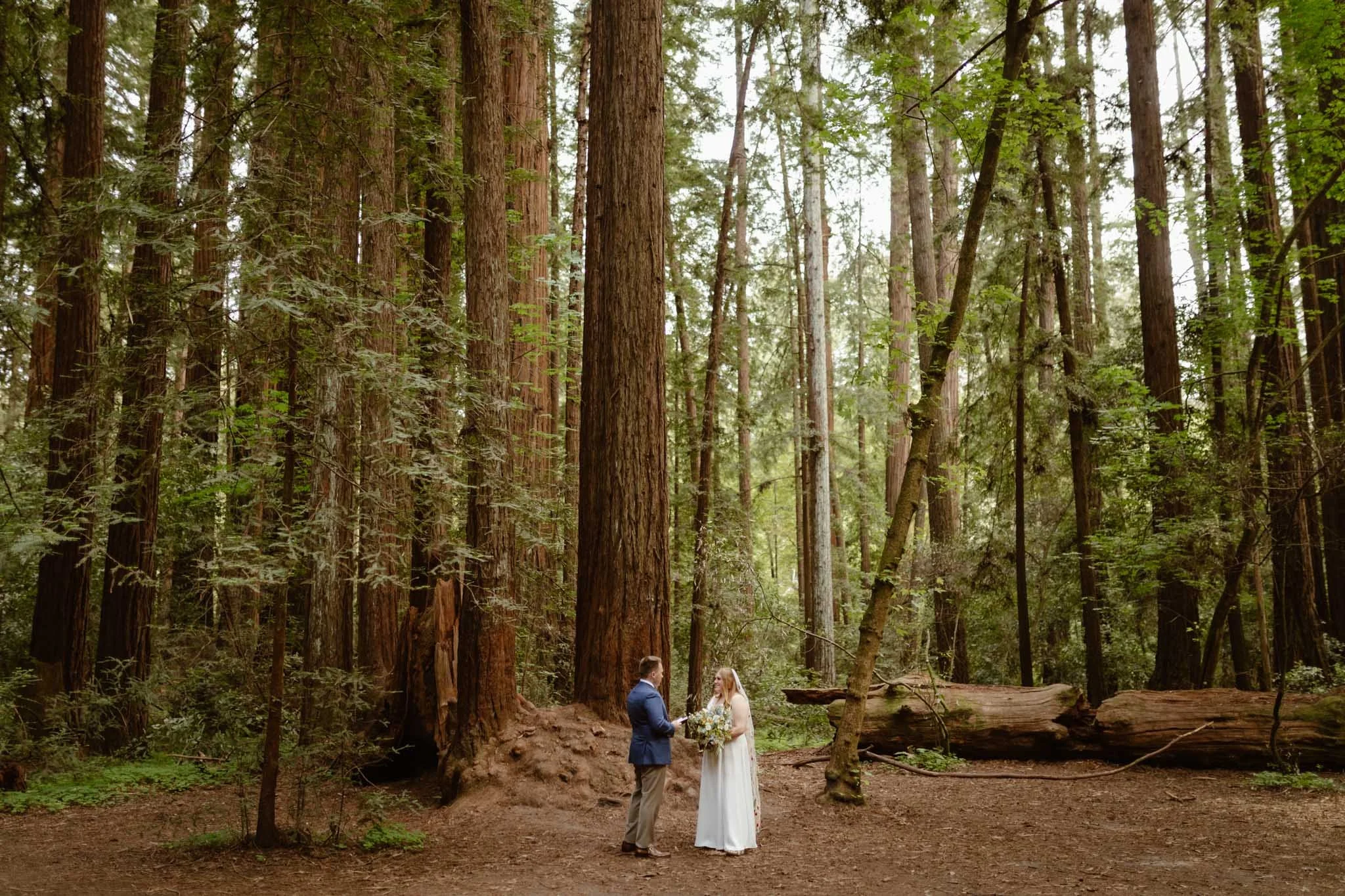 Redwoods Elopement Guide [2024] — California Elopement Photographer ...