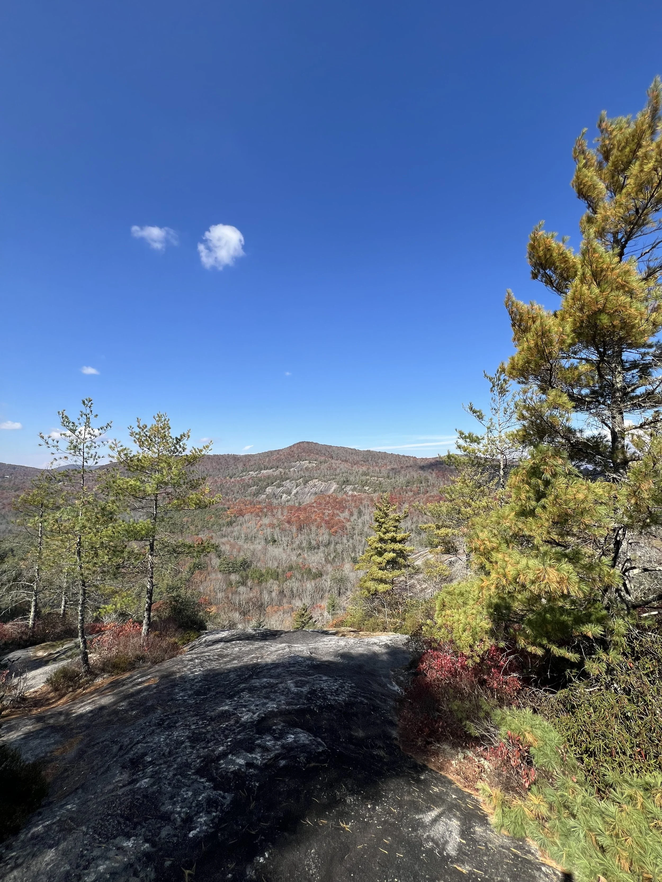 WoundPro Dressing Kit Features & Benefits | The Wound Vac Company