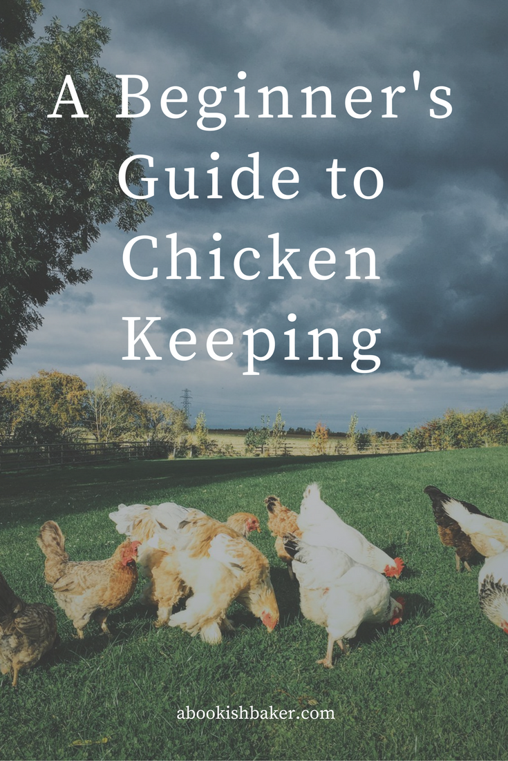 A Beginner's Guide to Chicken-keeping — Helen Redfern