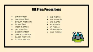5 Ways to Practice for the National Latin Exam — Amy Skillicorn