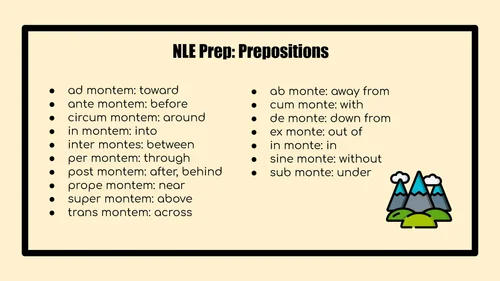 5 Ways to Practice for the National Latin Exam — Amy Skillicorn