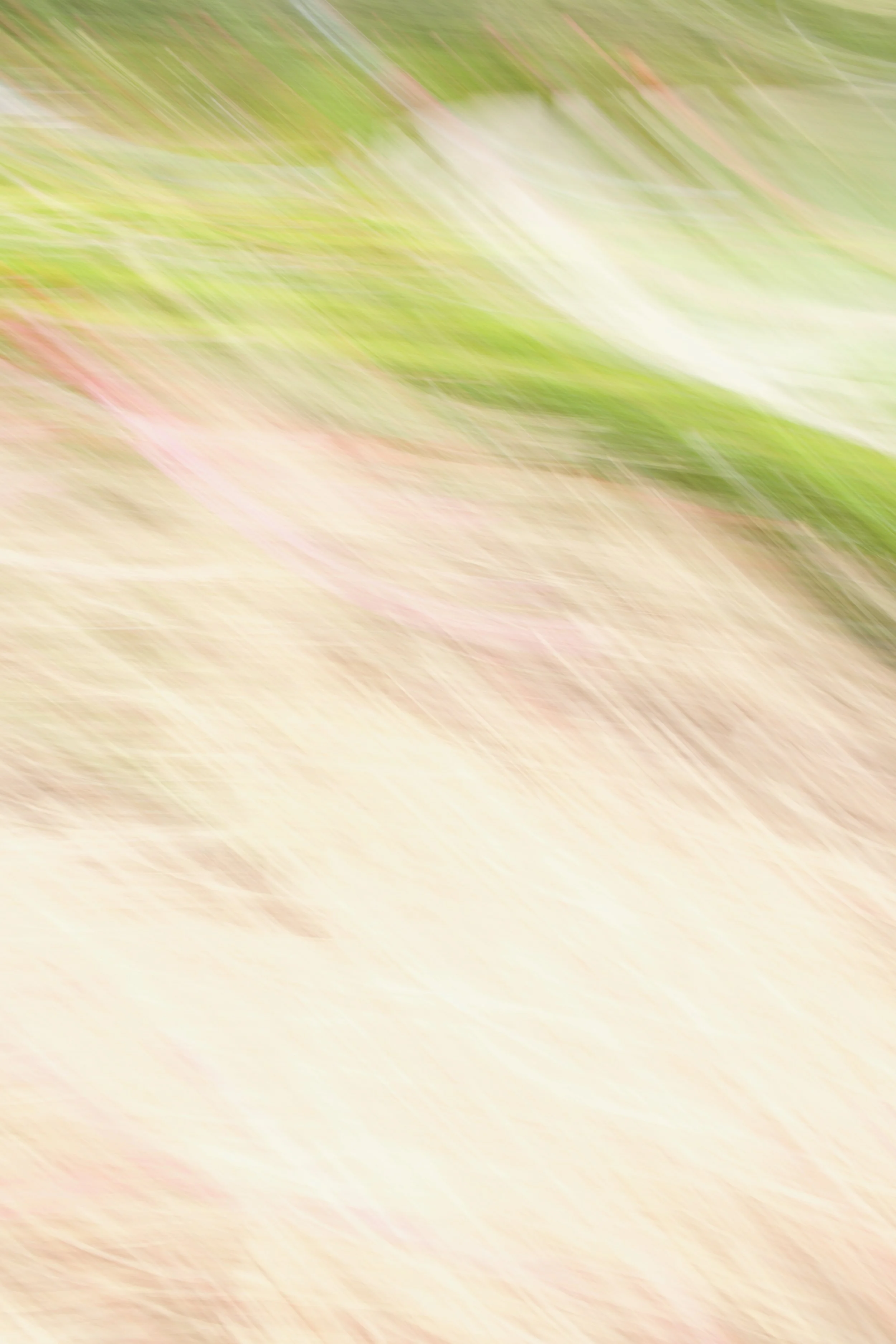 2023 movement 2 — nico maestu