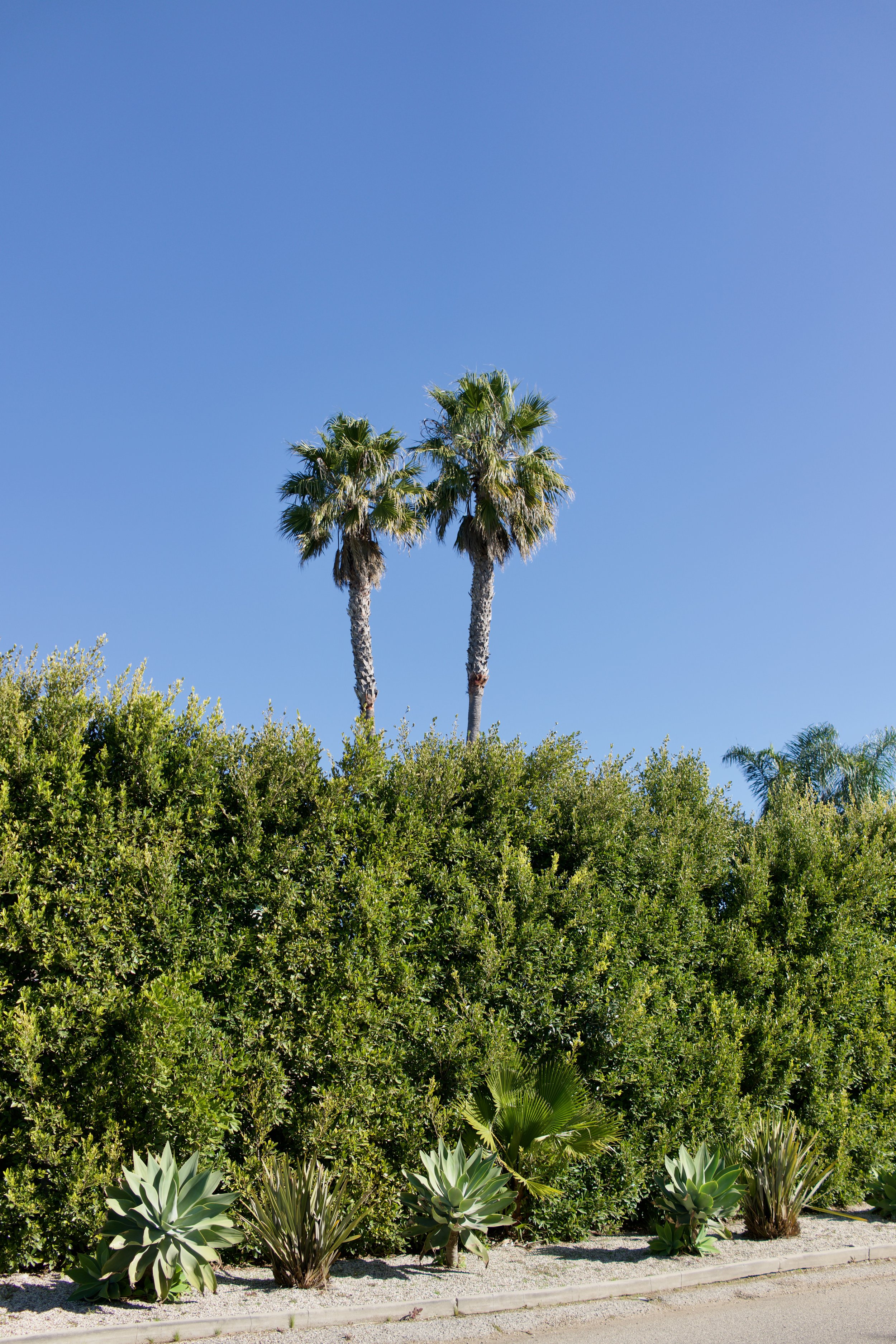 2023 clusters — nico maestu