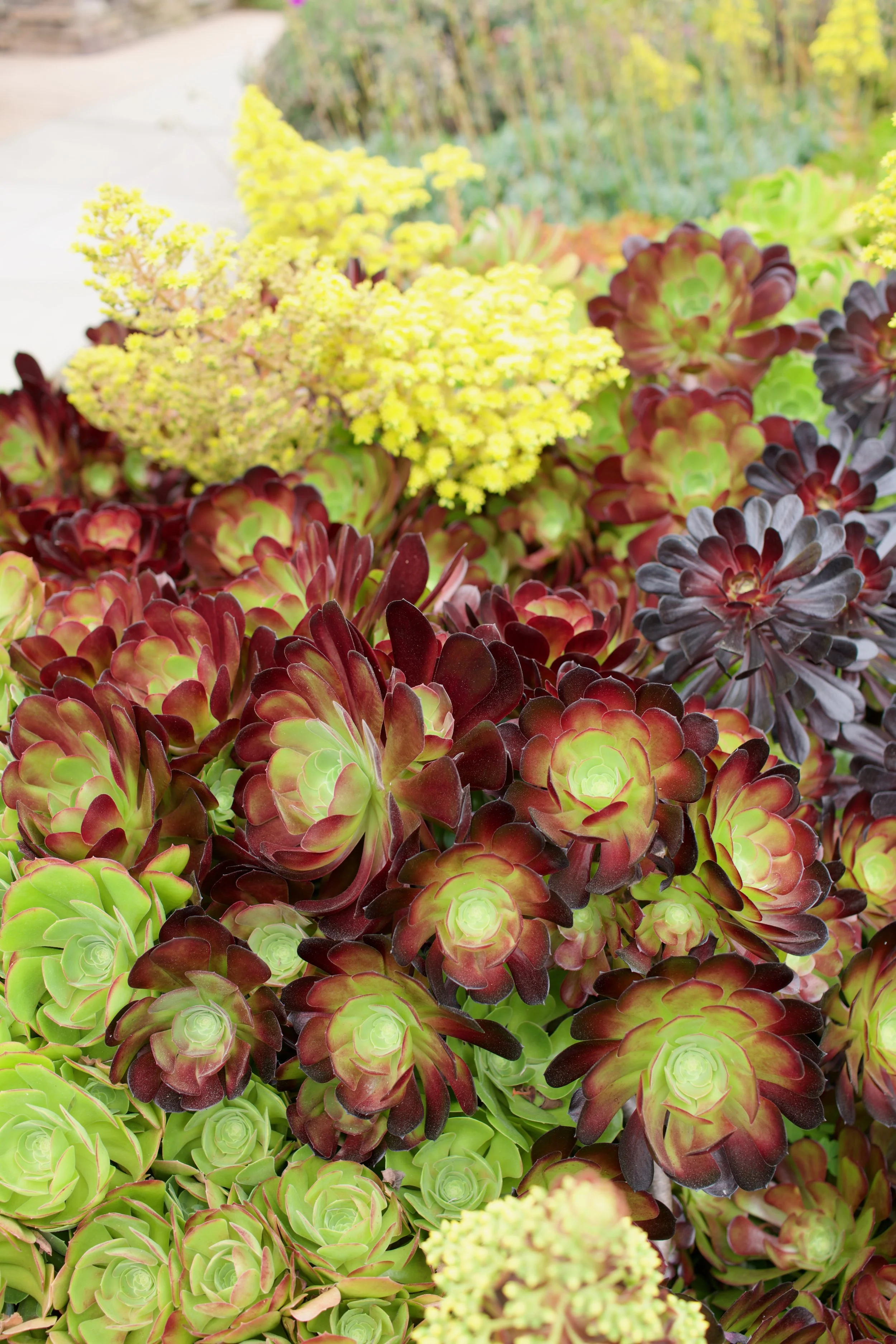 2023 clusters — nico maestu