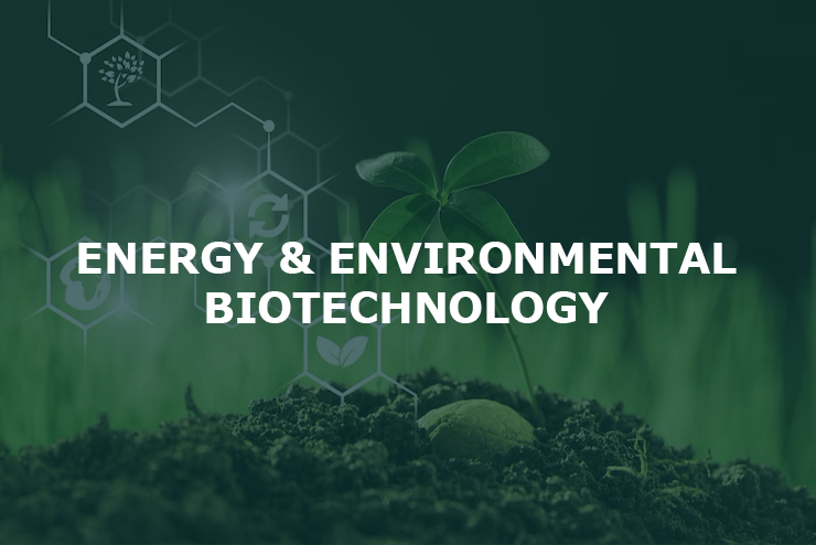 SIMATS ENGINEERING —Programs Offered