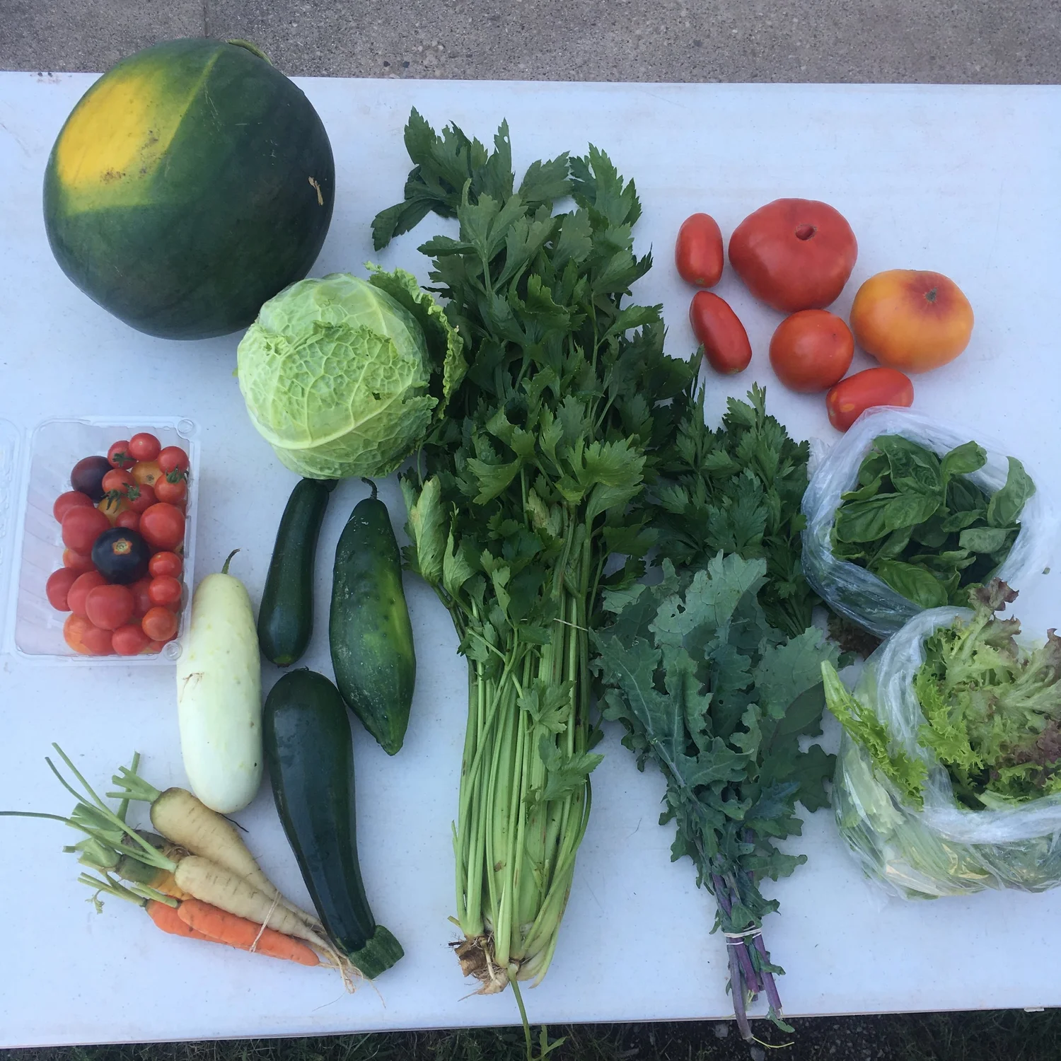 CSA - Full Circle Community Farm