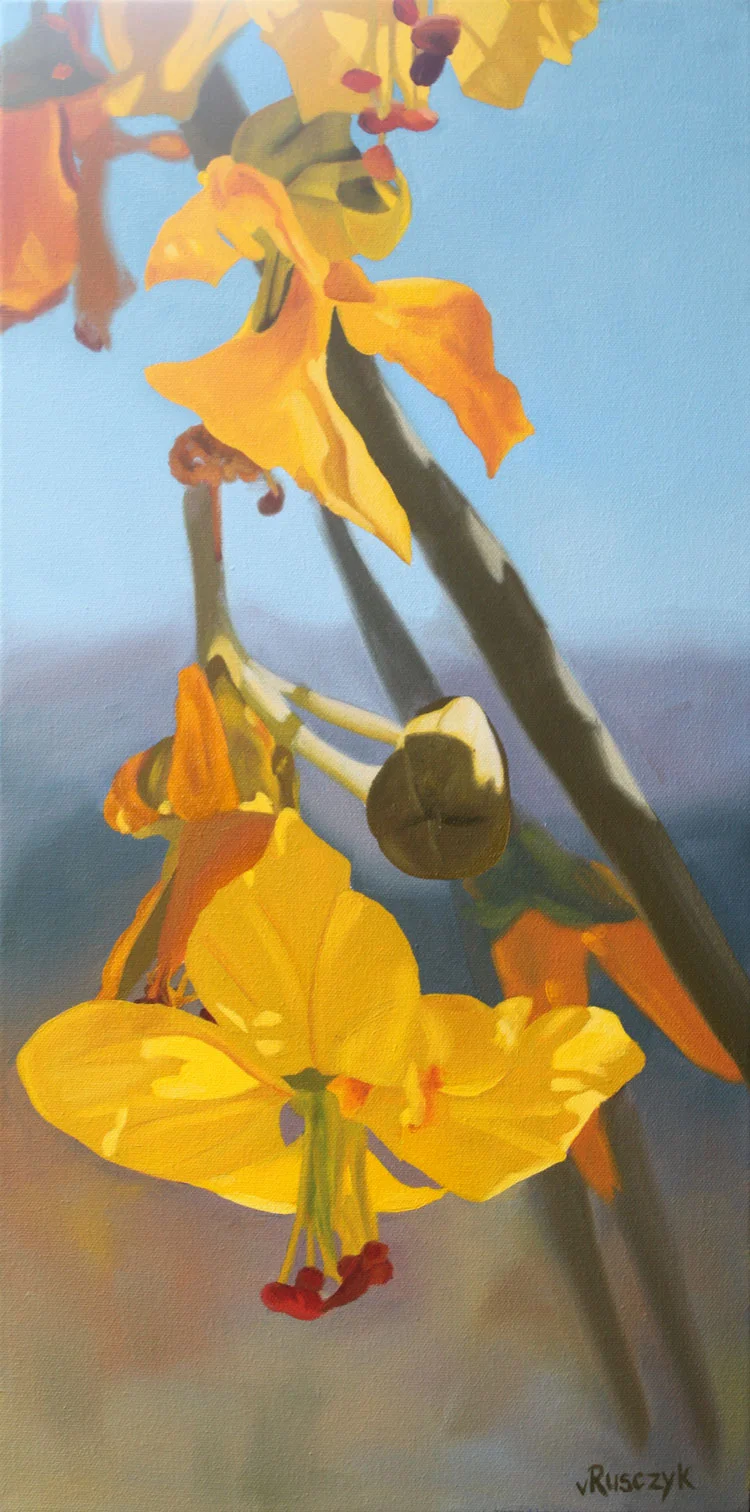 Bio — Vanessa Rusczyk