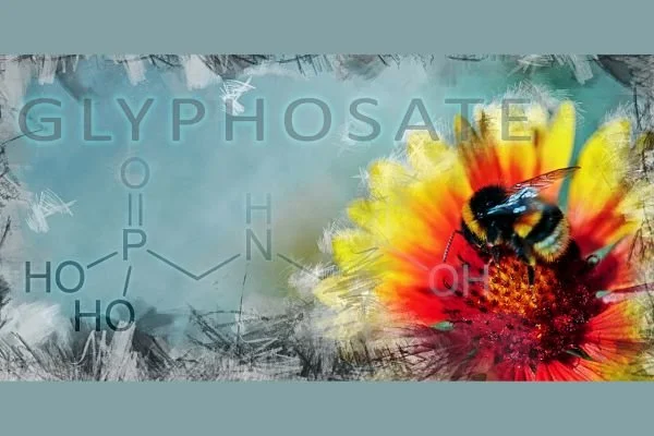 Epidemiologic Studies Assessing Risk of Non-Hodgkin Lymphoma with ...