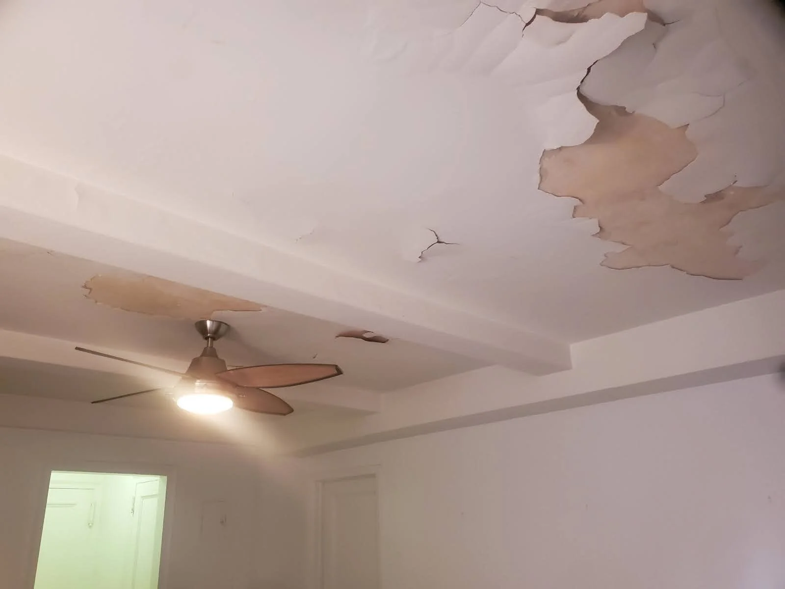 Patching Plaster Ceiling | Shelly Lighting
