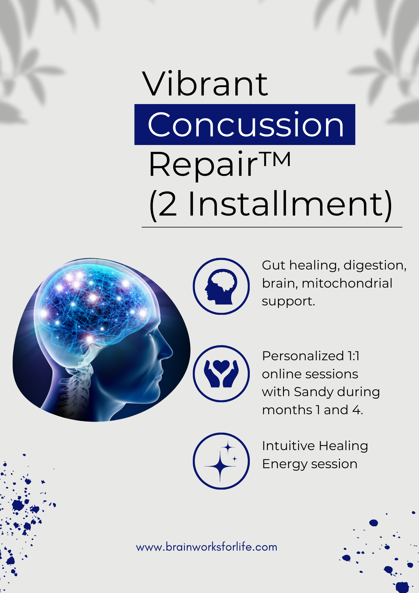 Store — Brainworks for Life