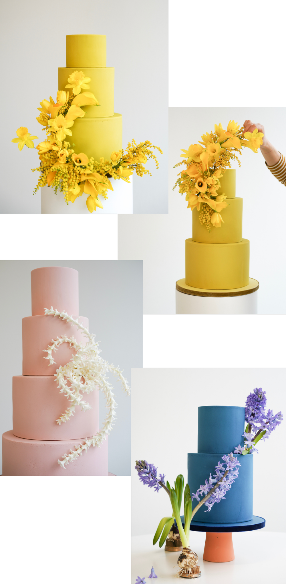 Modern Cake Flowers with Passionflower Sue — Sweet Heather Anne Cake Studio