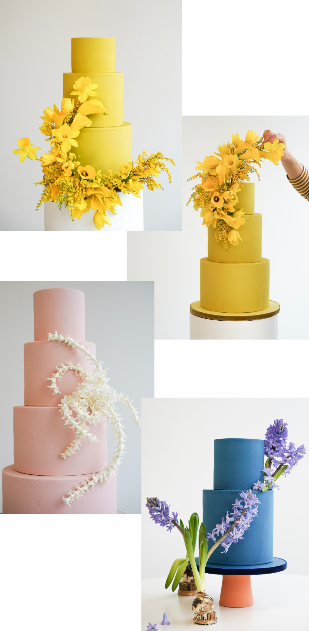 Modern Cake Flowers with Passionflower Sue — Sweet Heather Anne Cake Studio