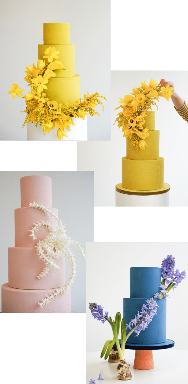 Modern Cake Flowers with Passionflower Sue — Sweet Heather Anne Cake Studio