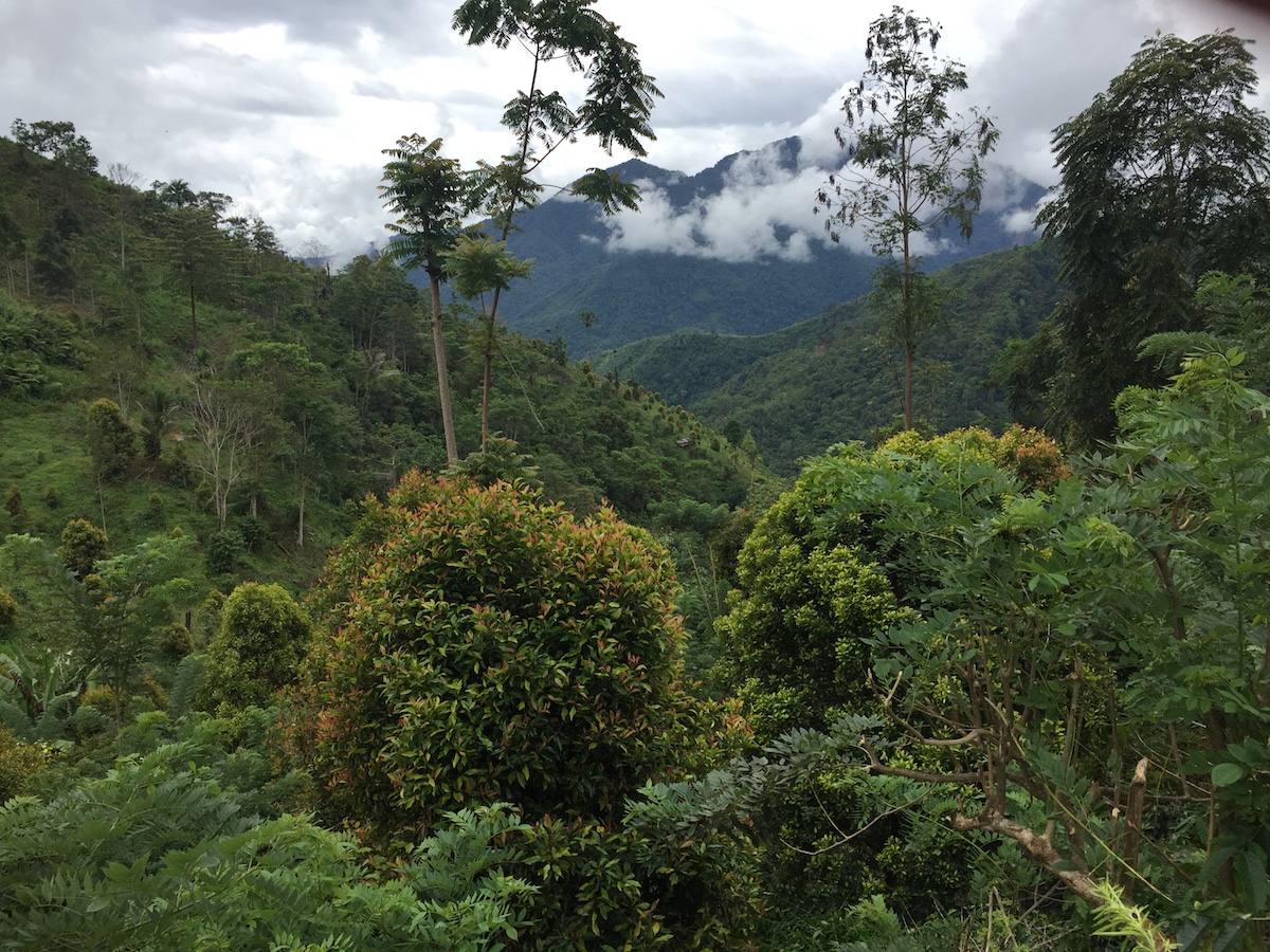 Nusantara Resources Limited