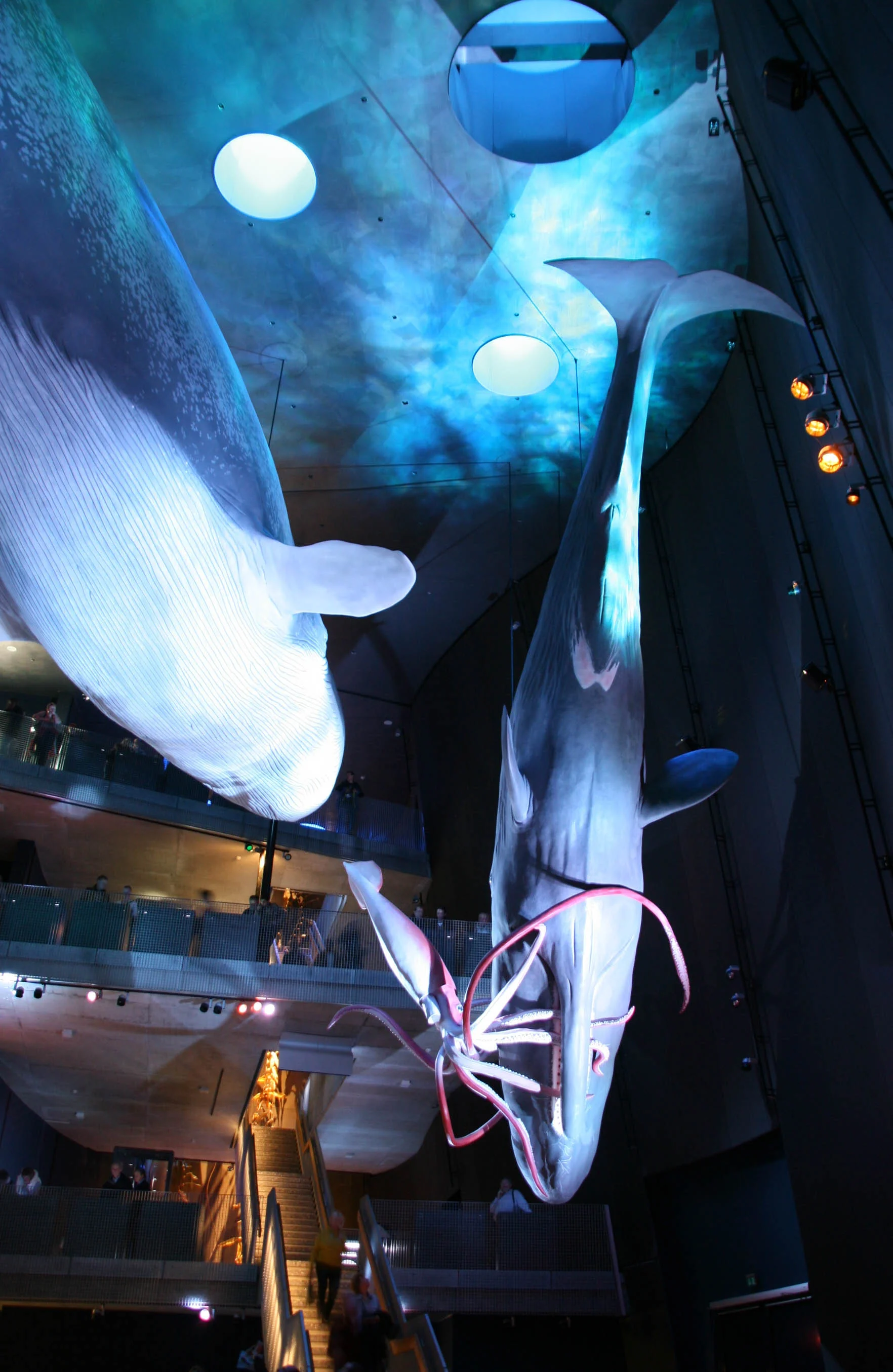 Riesen der Meere - Ozeaneum — Figurenbau Peter Ardelt