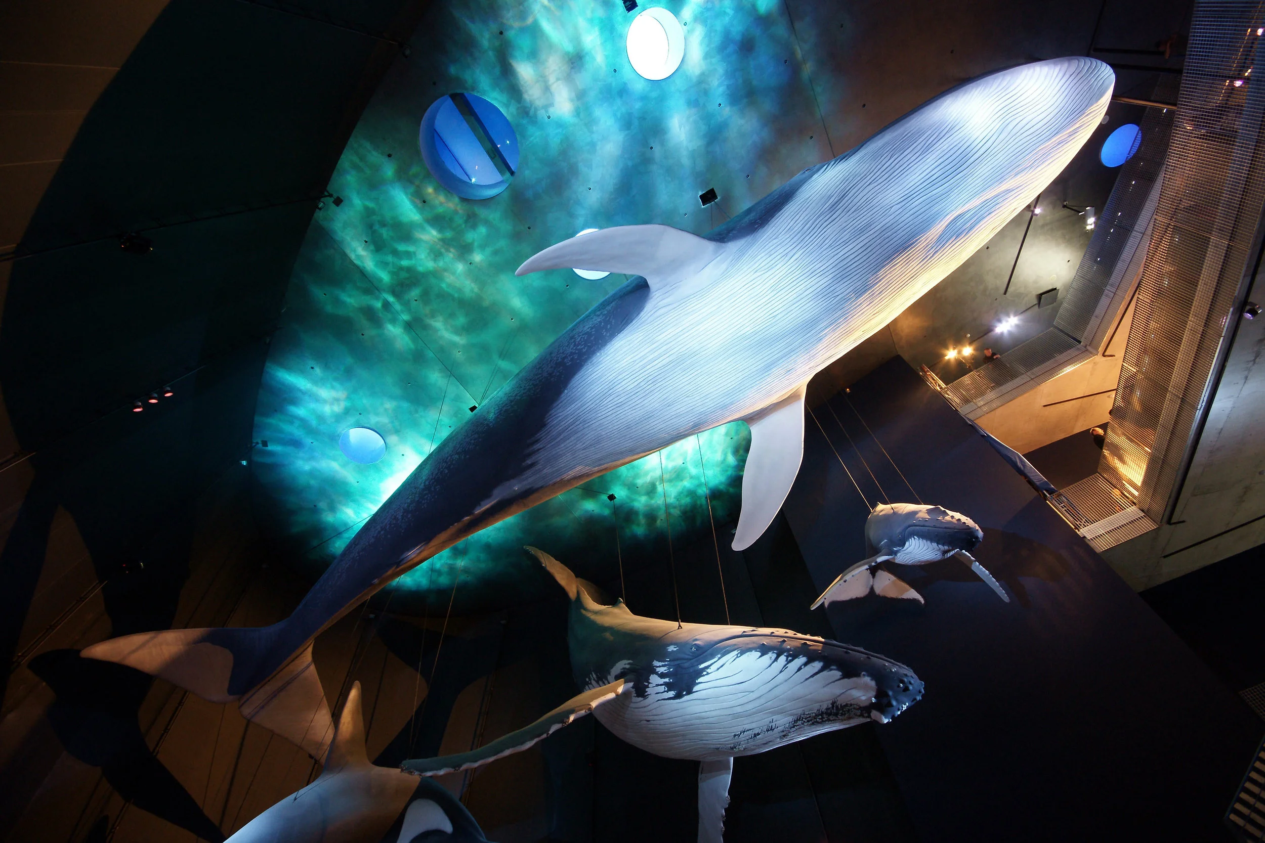 Riesen der Meere - Ozeaneum — Figurenbau Peter Ardelt