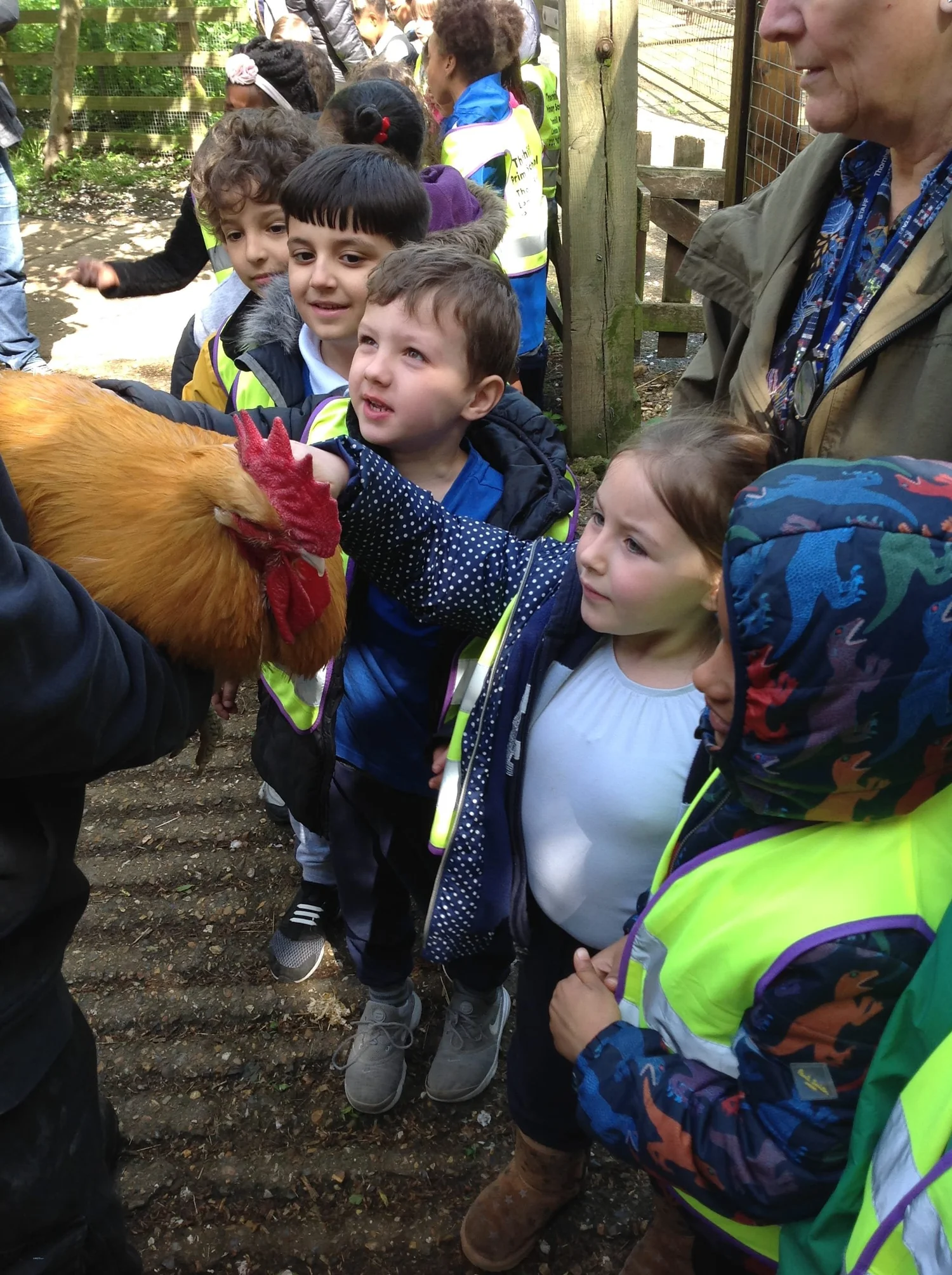 Visit — Freightliners City Farm