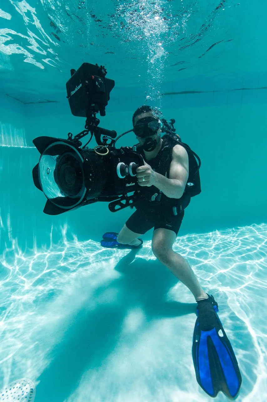 STEM Faculty and Instructors - Black Girls Dive Foundation — Black ...