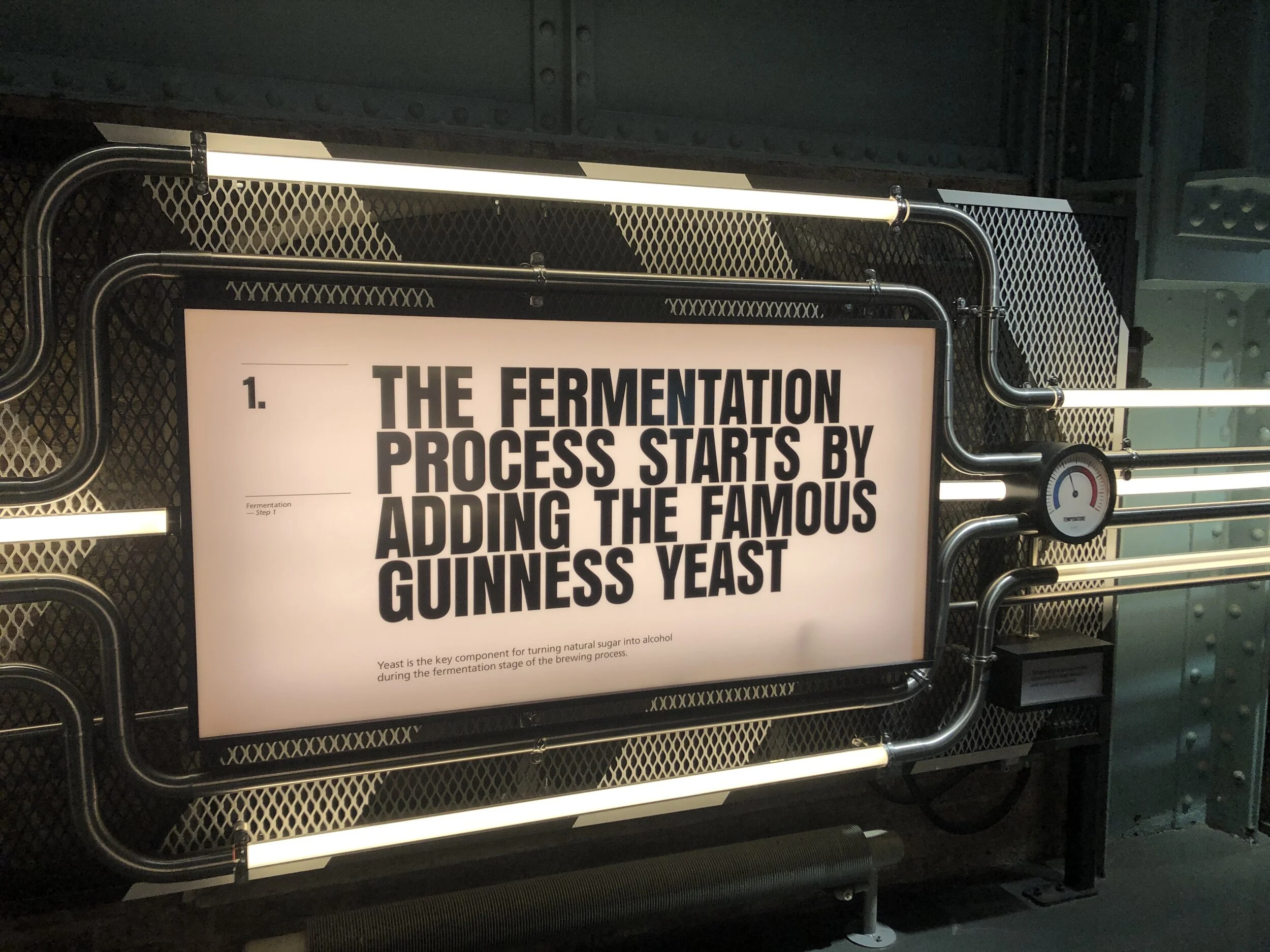 A Guide To Guinness — Kate Rebel