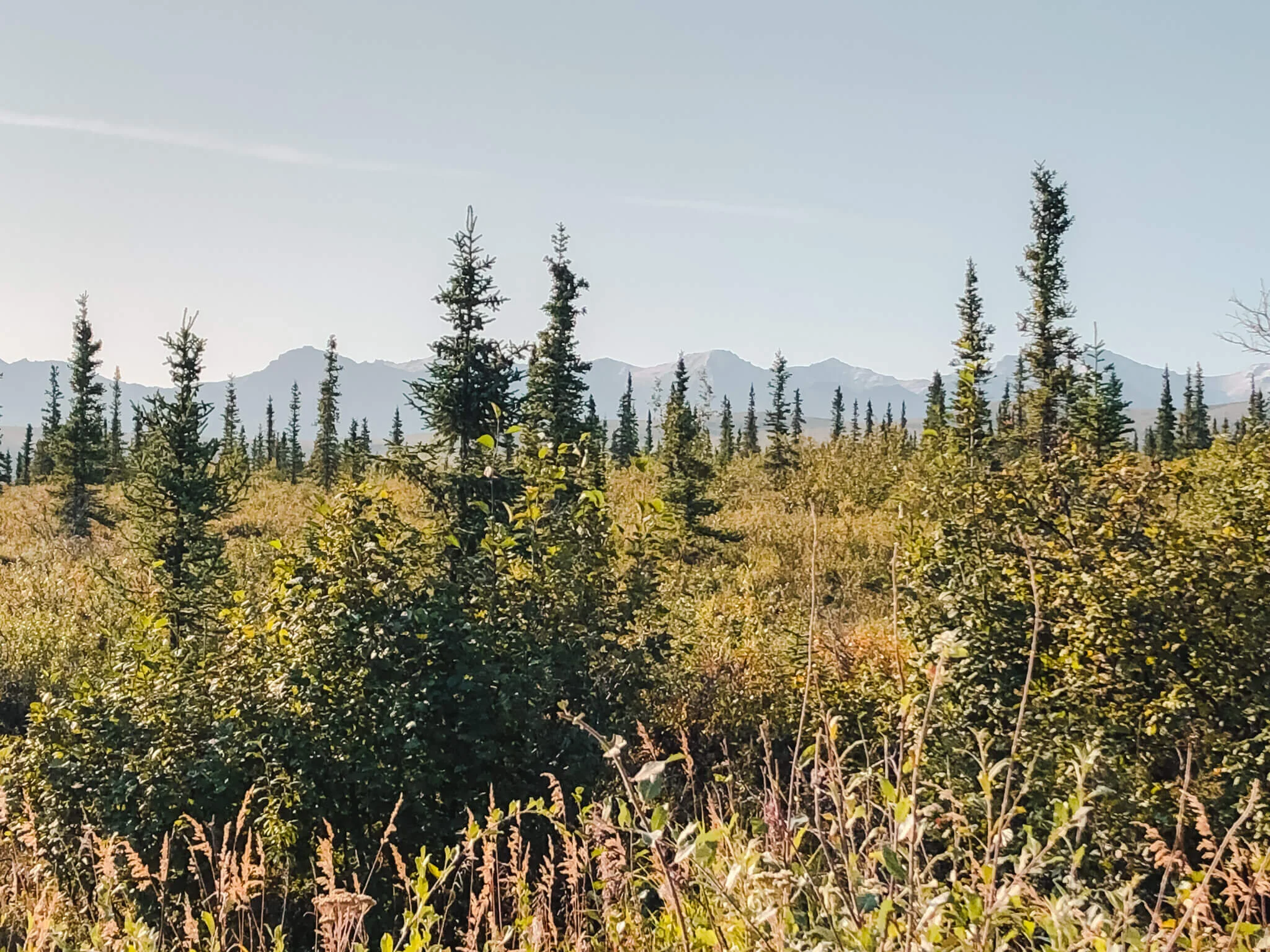 Alaska Travel Diary — Kate Rebel