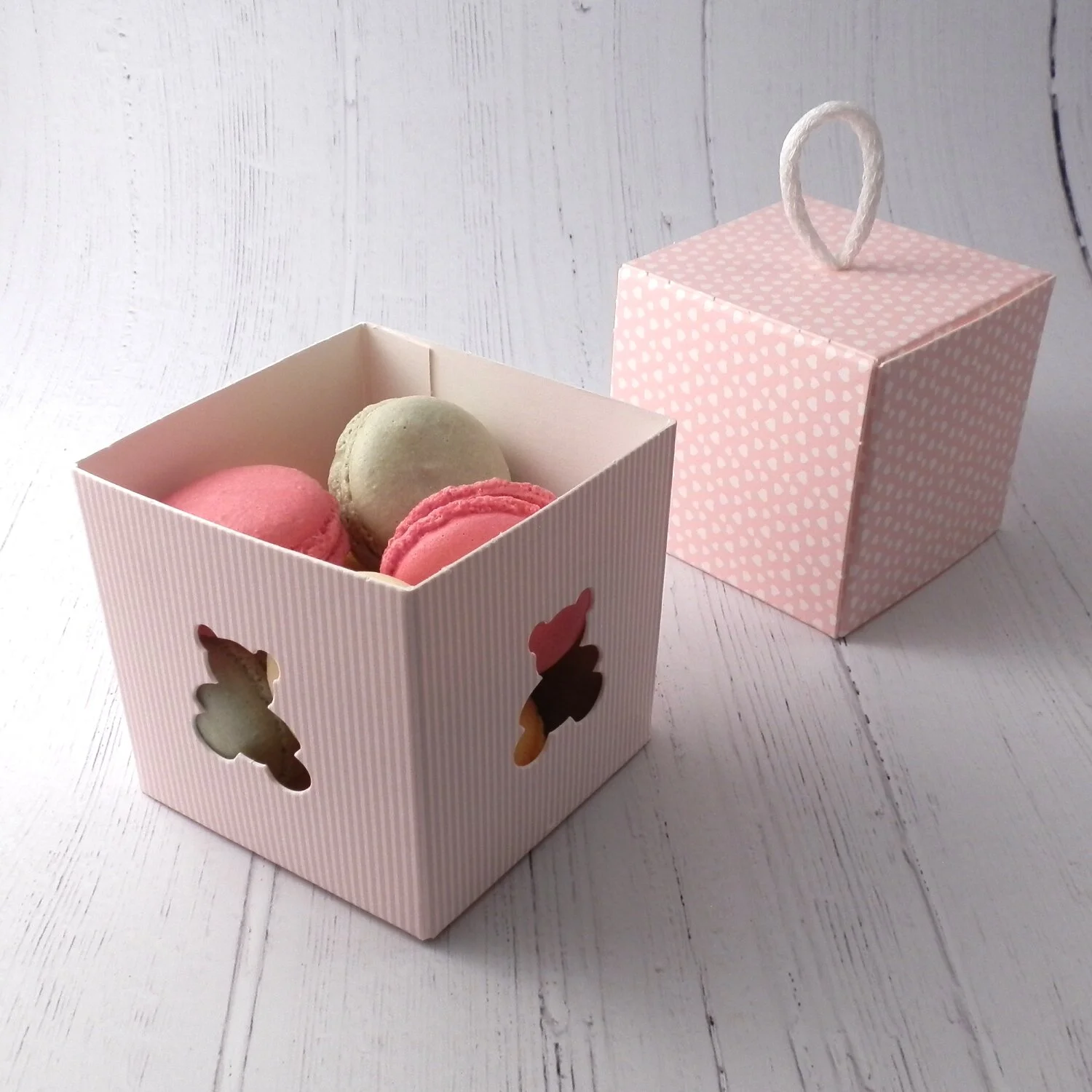 Little Macaron Boxes — Macaron Boxes - the full range