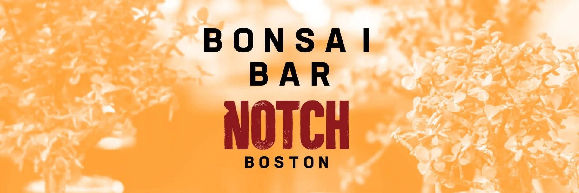 Brighton Events — Notch Brewing