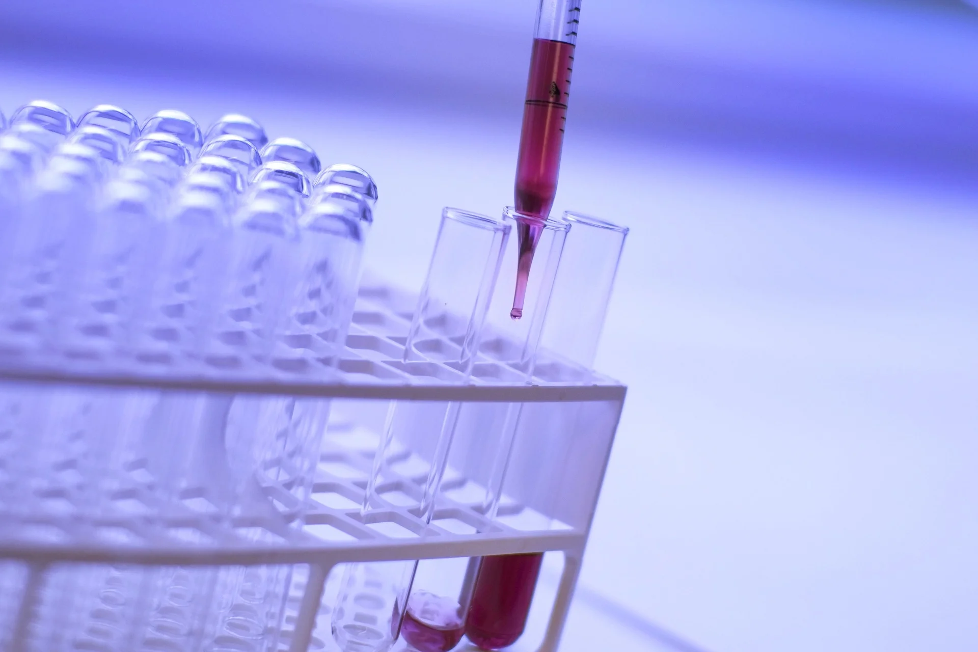 Validity Genetics - DNA and Paternity Testing Services