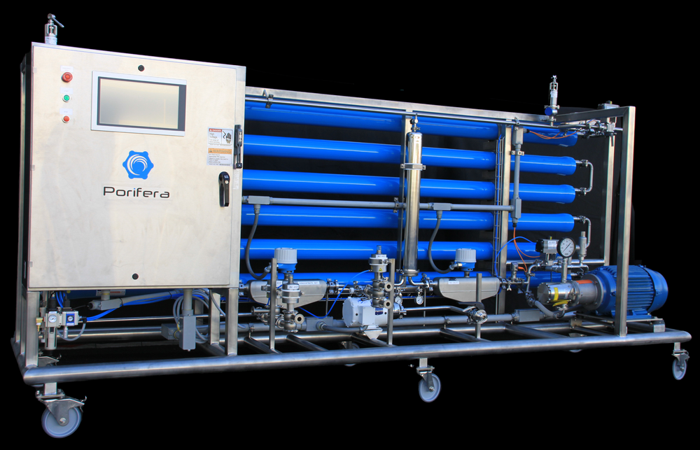 Membrane Systems — Porifera