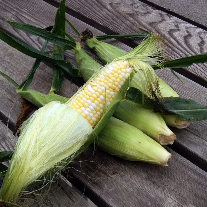 Organic Fruits and Vegetables | Green Ridge Acres