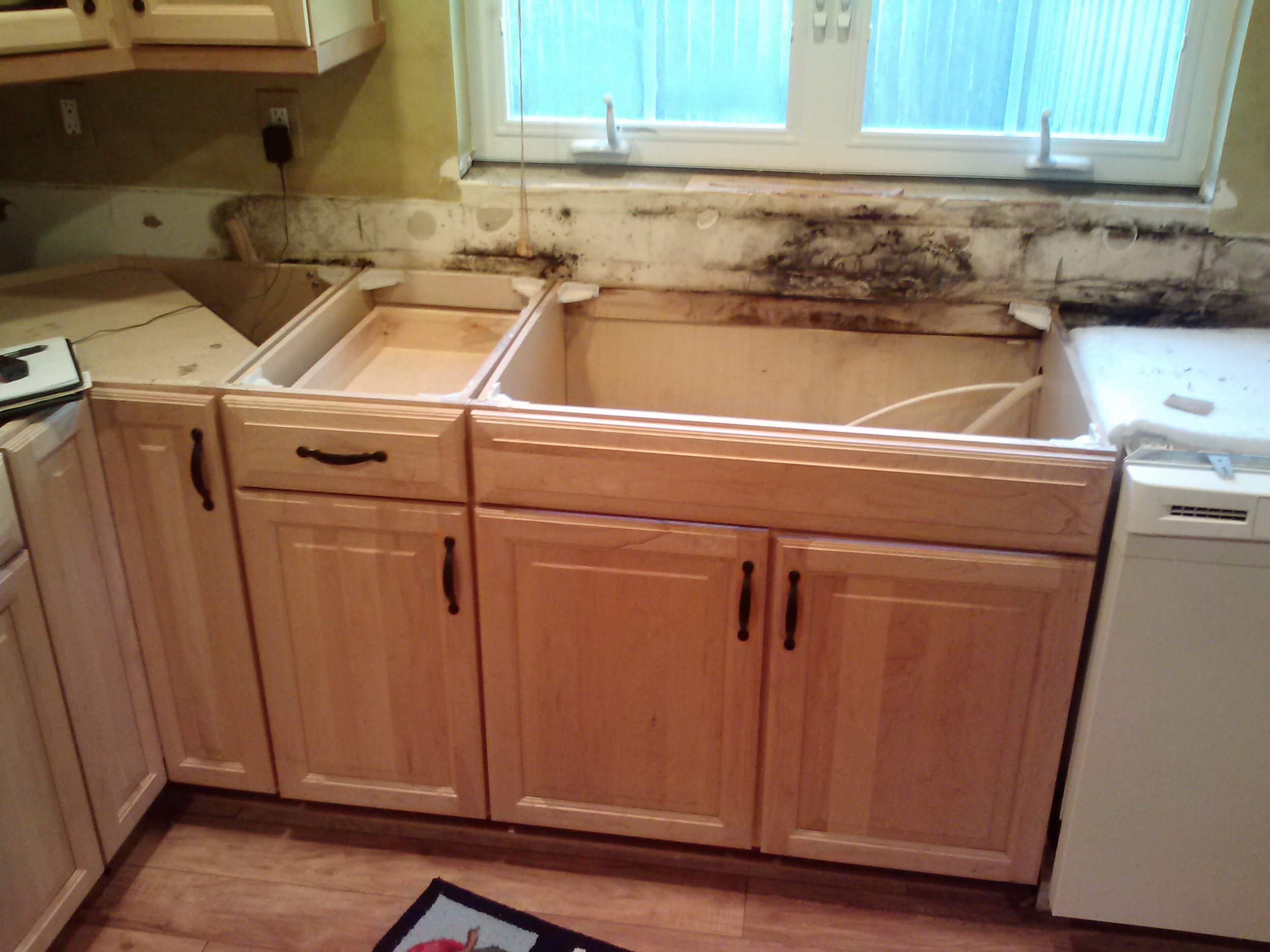 Mold Proof Kitchen Cabinets