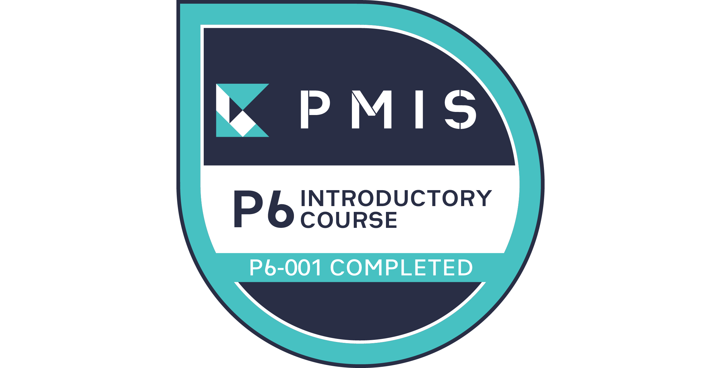 P6-001: Introduction to P6 — PMIS Ltd.