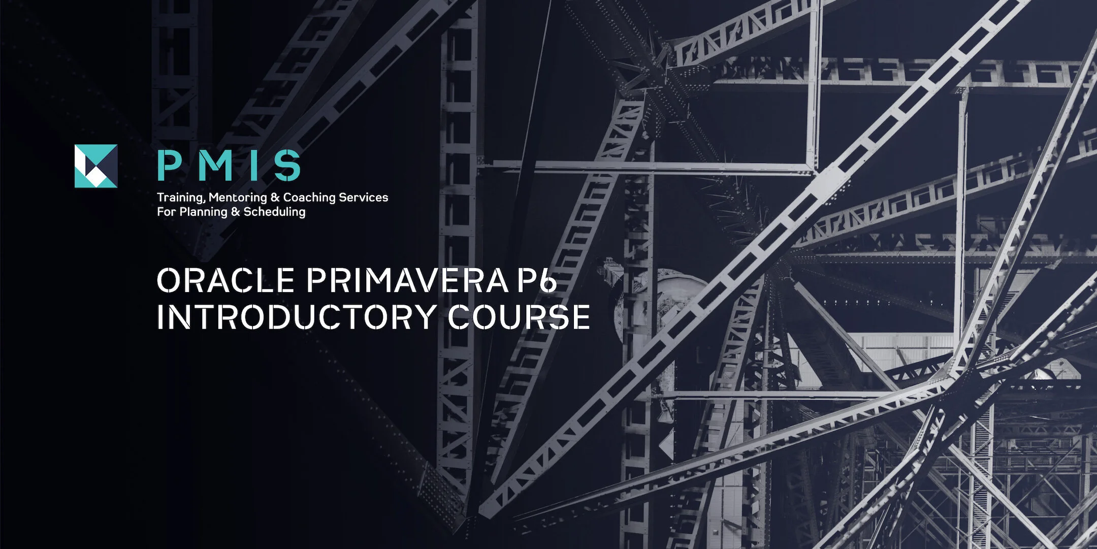 Primavera Training — PMIS Ltd.